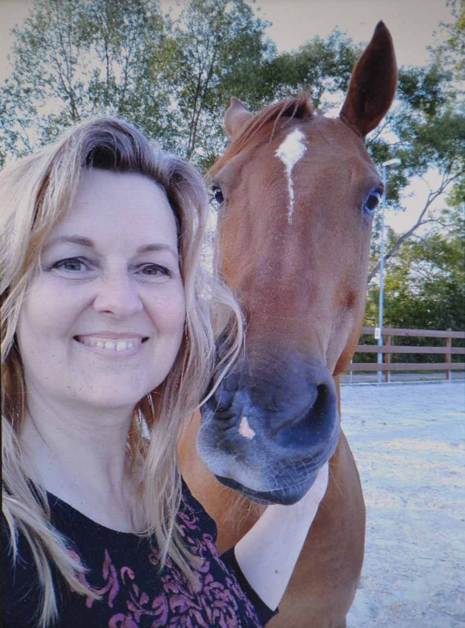 Kartenset der Hero's Journey Instruktorinnen